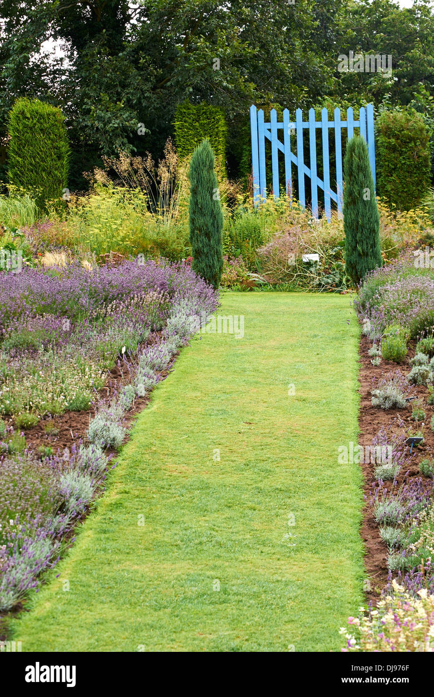 Lavender path hi-res stock photography and images - Alamy