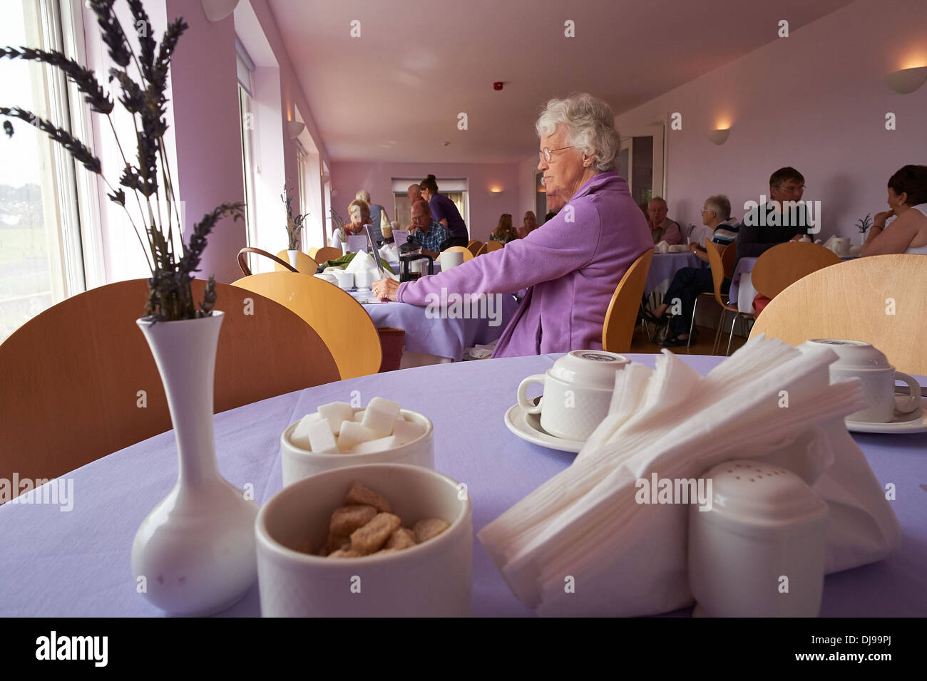 The Yorkshire Lavender Cafe in the UK Stock Photo - Alamy