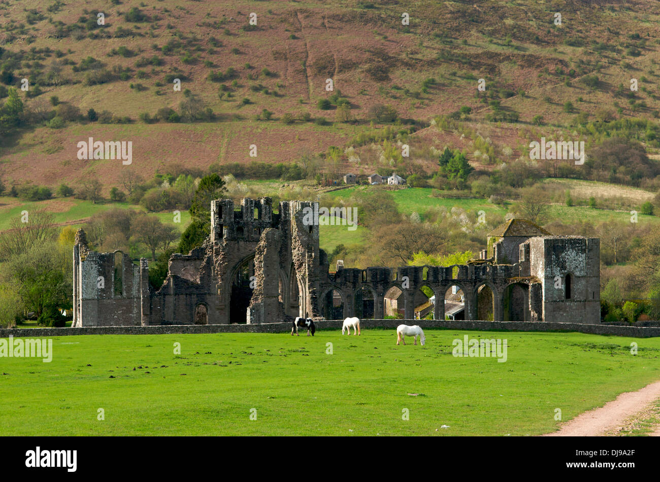 Llanthony priory wales hi-res stock photography and images - Alamy