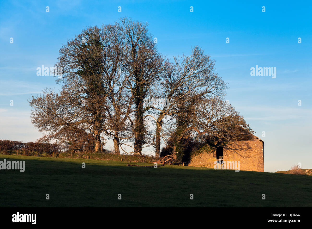 Devon barndevon barn hi-res stock photography and images - Alamy