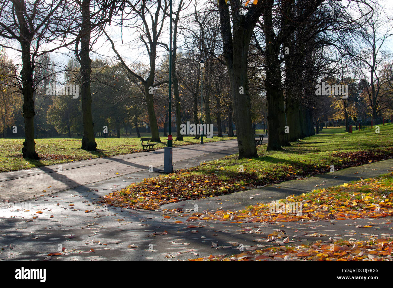 Sparkhill Park in autumn, Birmingham, UK Stock Photo - Alamy