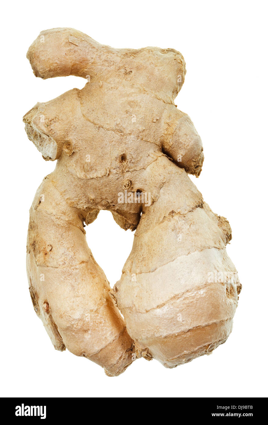 one ginger root isolated on white background Stock Photo - Alamy