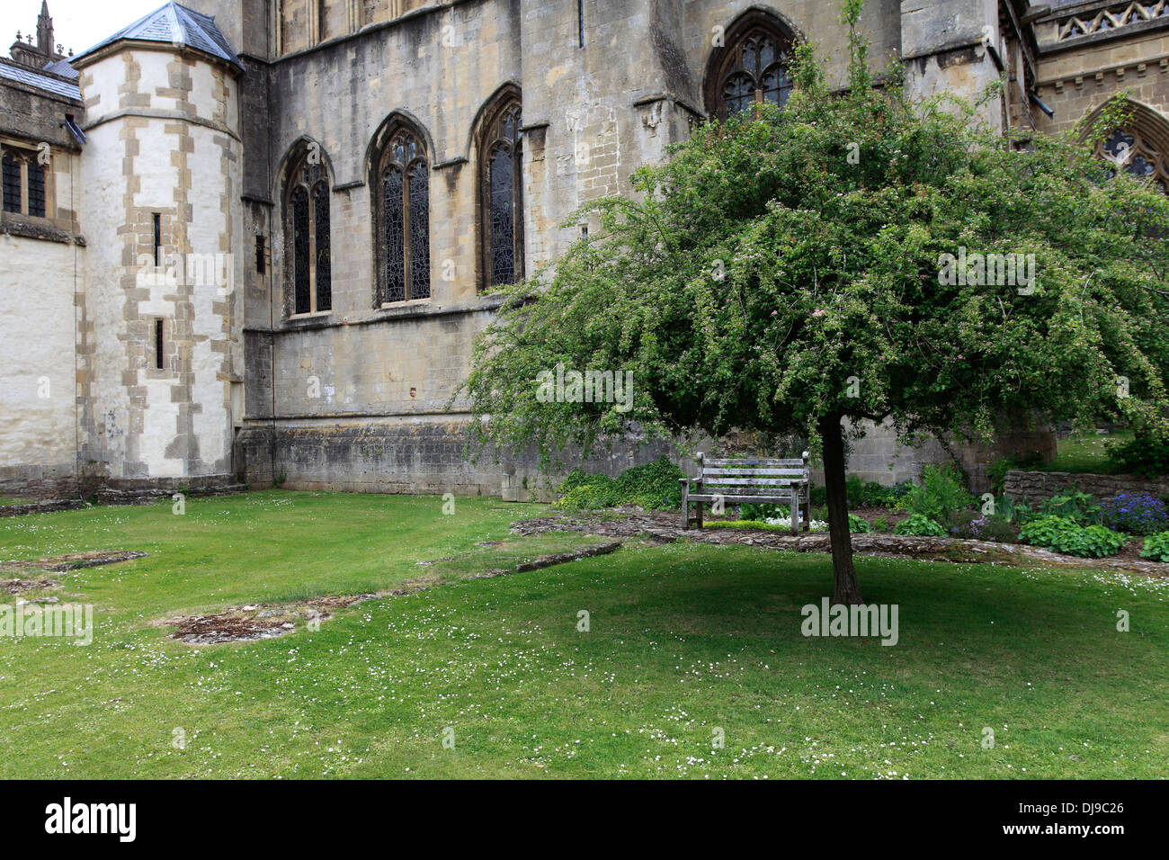 Lady Chapel, Cathedral church of St Andrews in Wells, Wells City ...