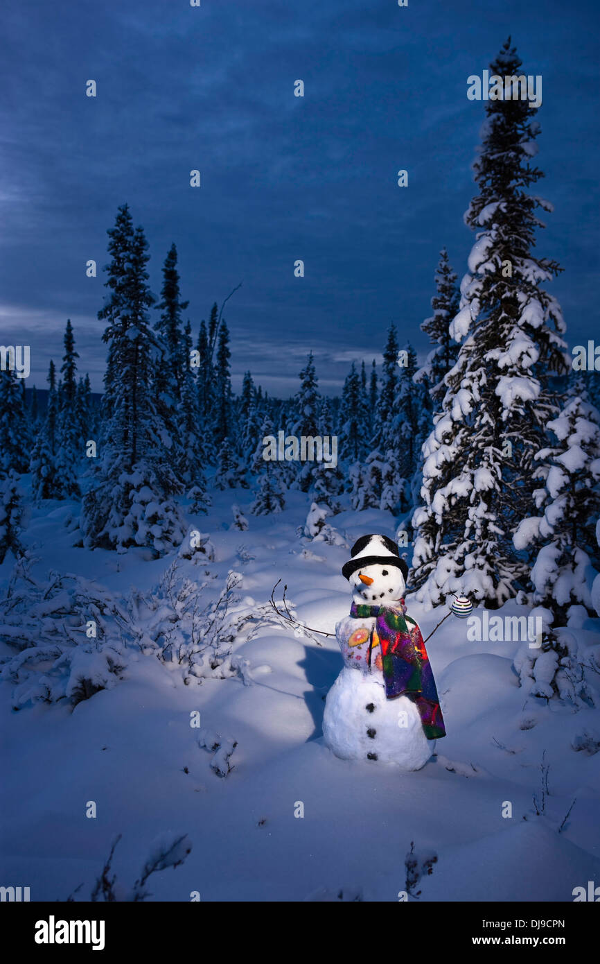 Snowman With Colorful Scarf And Vest Wearing A Black Top Hat Standing ...