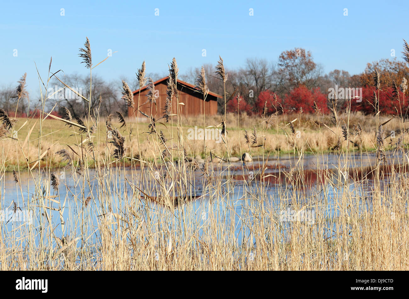 Marsh farm hi-res stock photography and images - Alamy