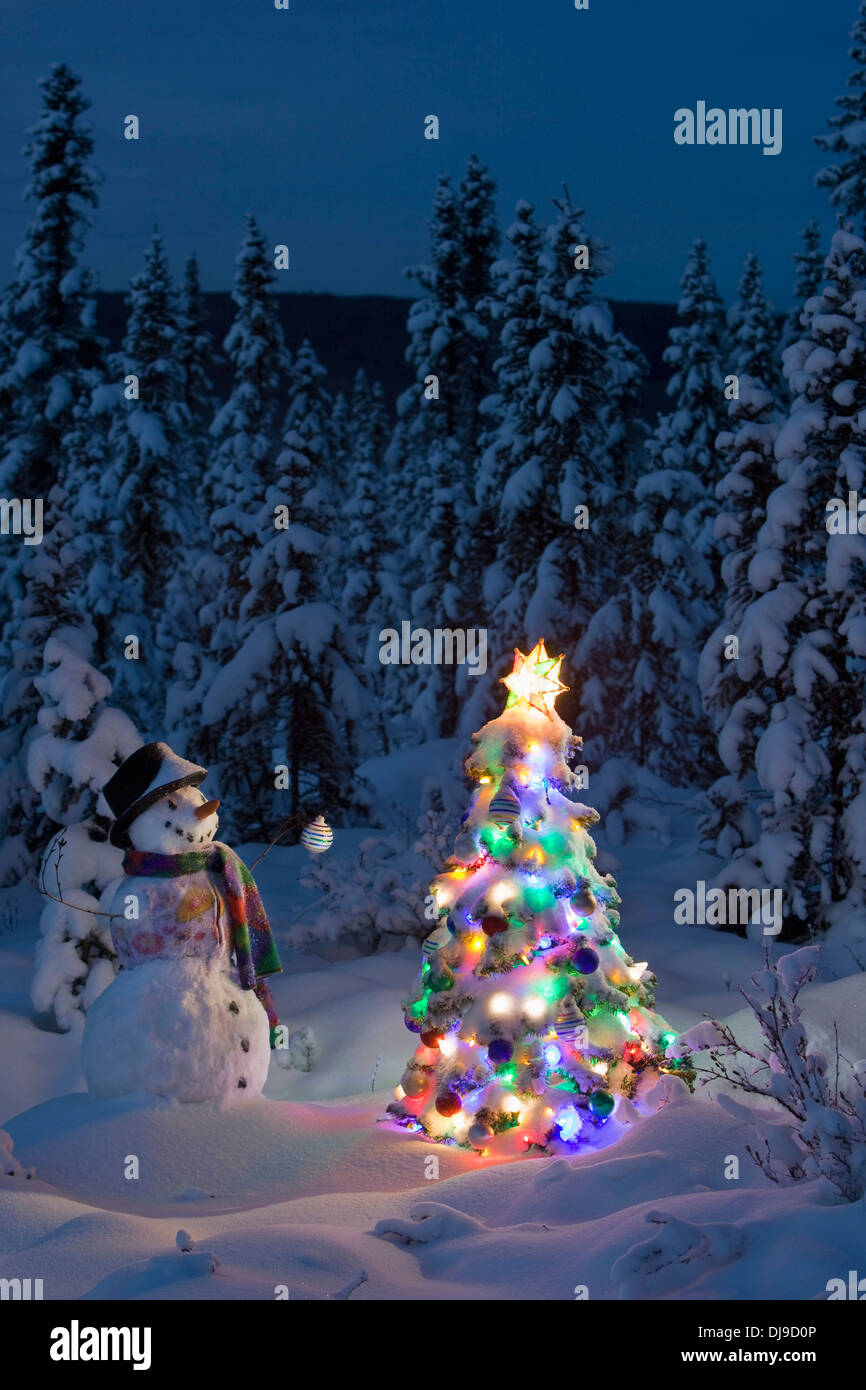 Lighted christmas tree in forest hi-res stock photography and images ...