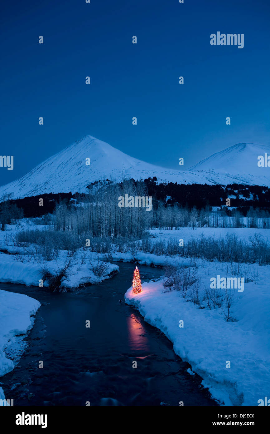 Christmas tree pass hi-res stock photography and images - Alamy