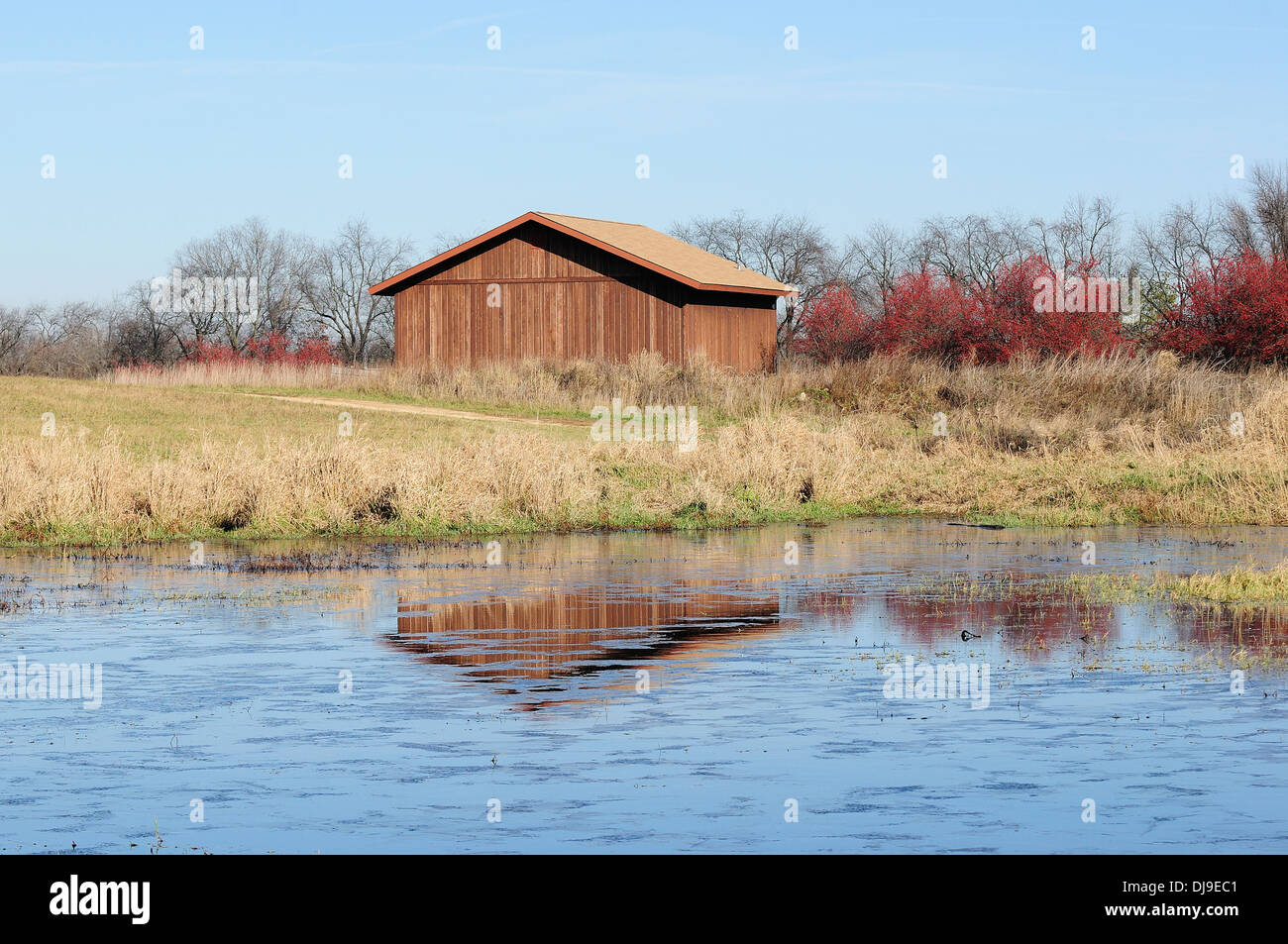 Farm barn next to lowland marsh Stock Photo - Alamy