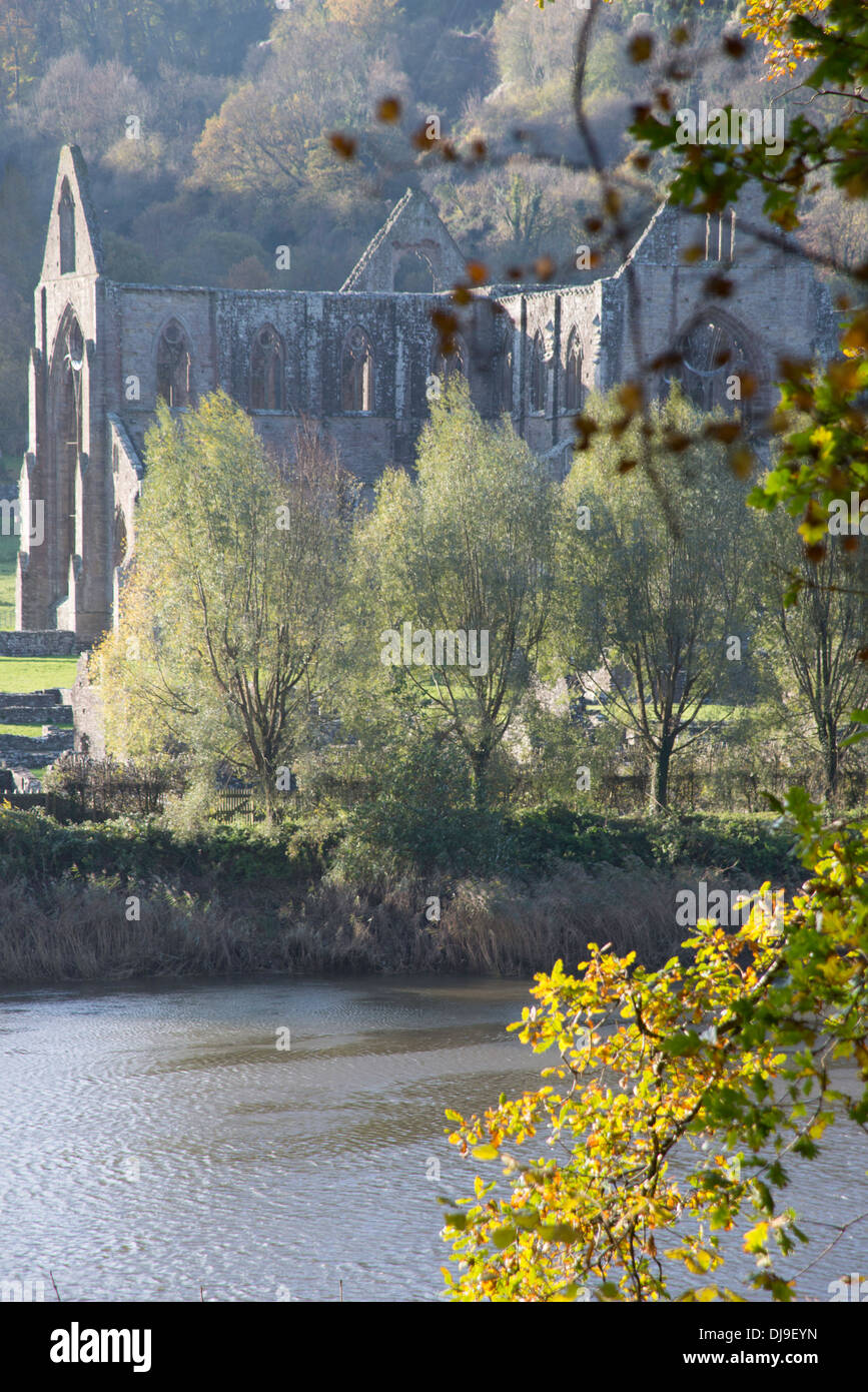 Tintern Abbey, Monmouthshire, U.K Stock Photo - Alamy