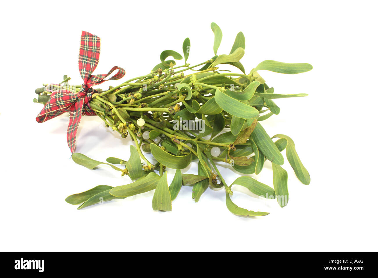 Mistletoe bough Cut Out Stock Images & Pictures - Alamy