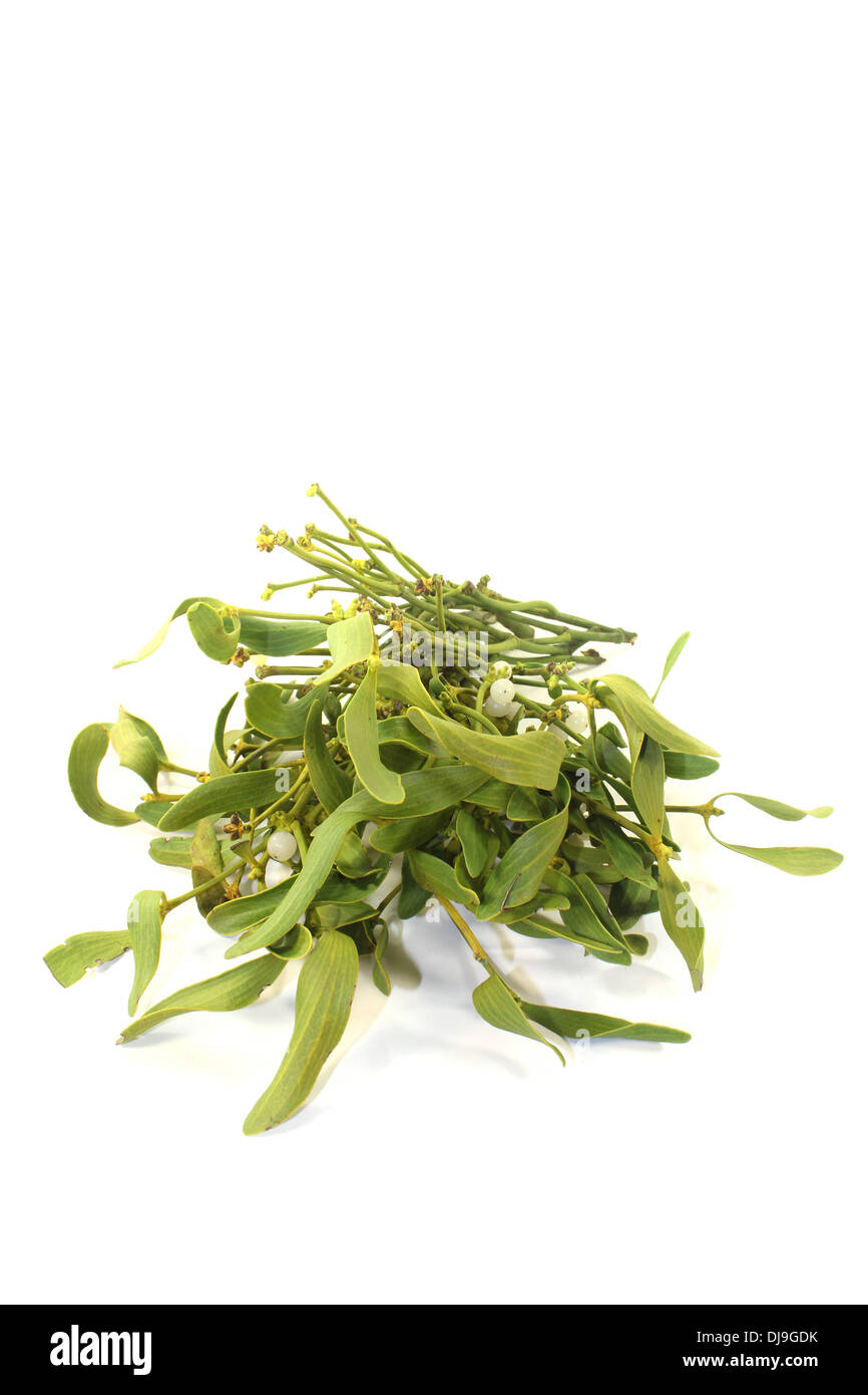 Mistletoe bough Cut Out Stock Images & Pictures - Alamy