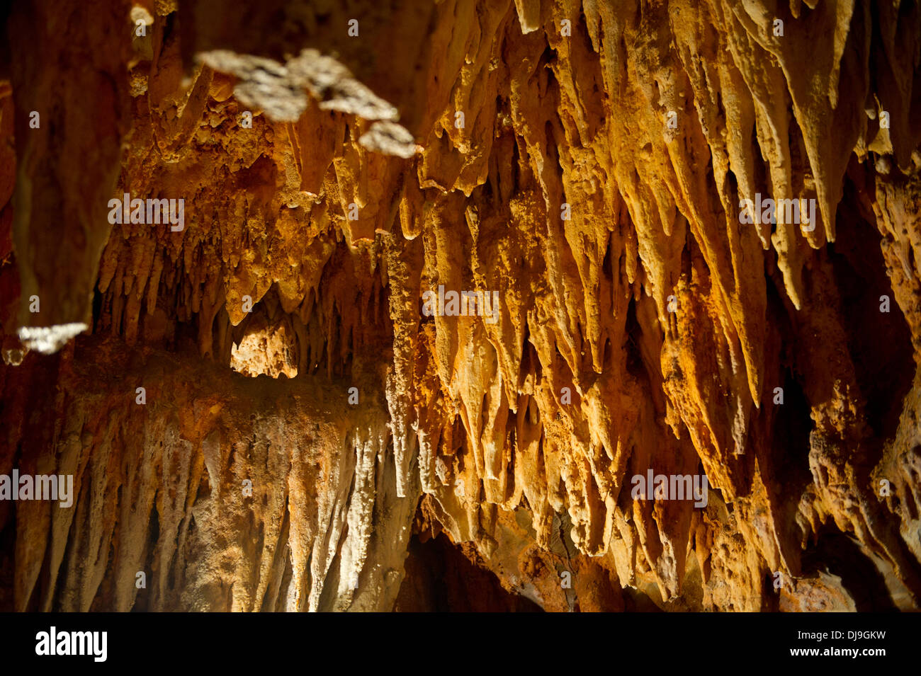 Europe, Italy, Liguria, The caves of Toirano, is a complex of karst ...