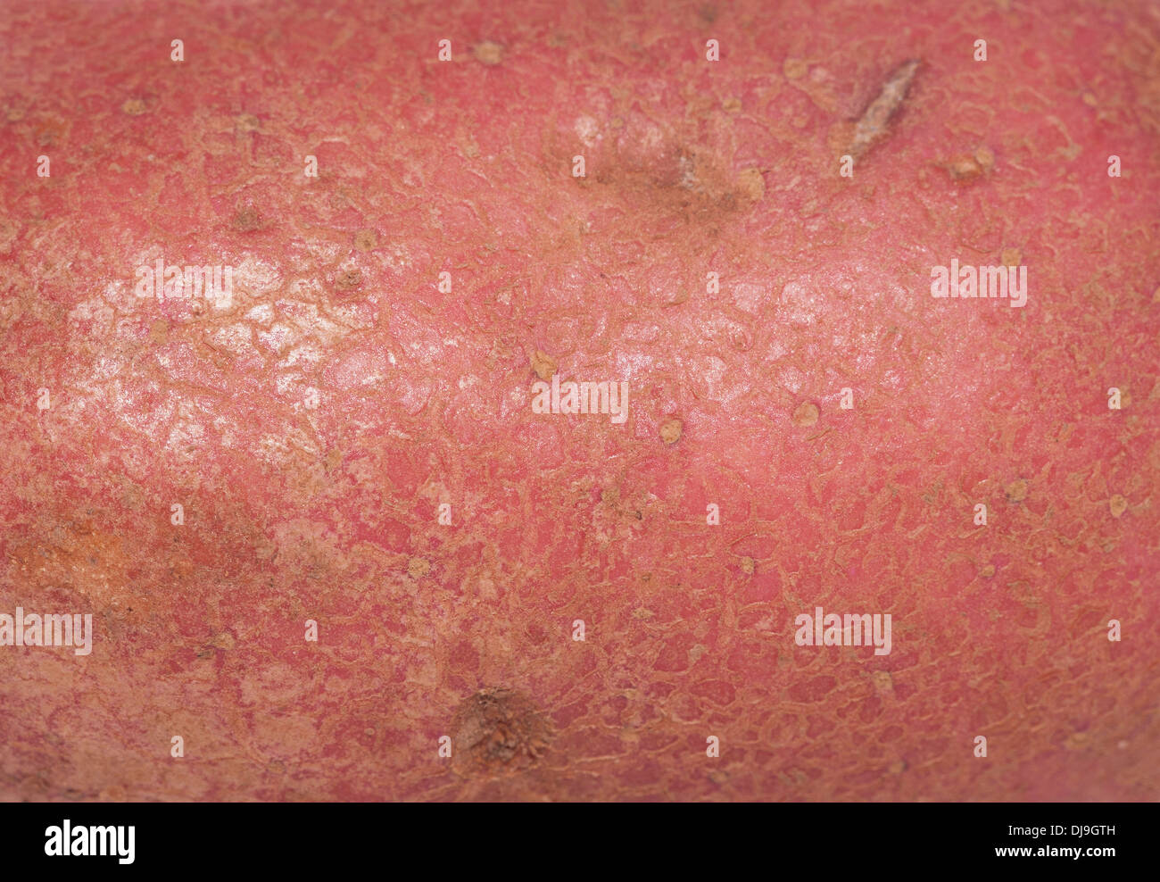 rooster potato abstract background texture Stock Photo - Alamy