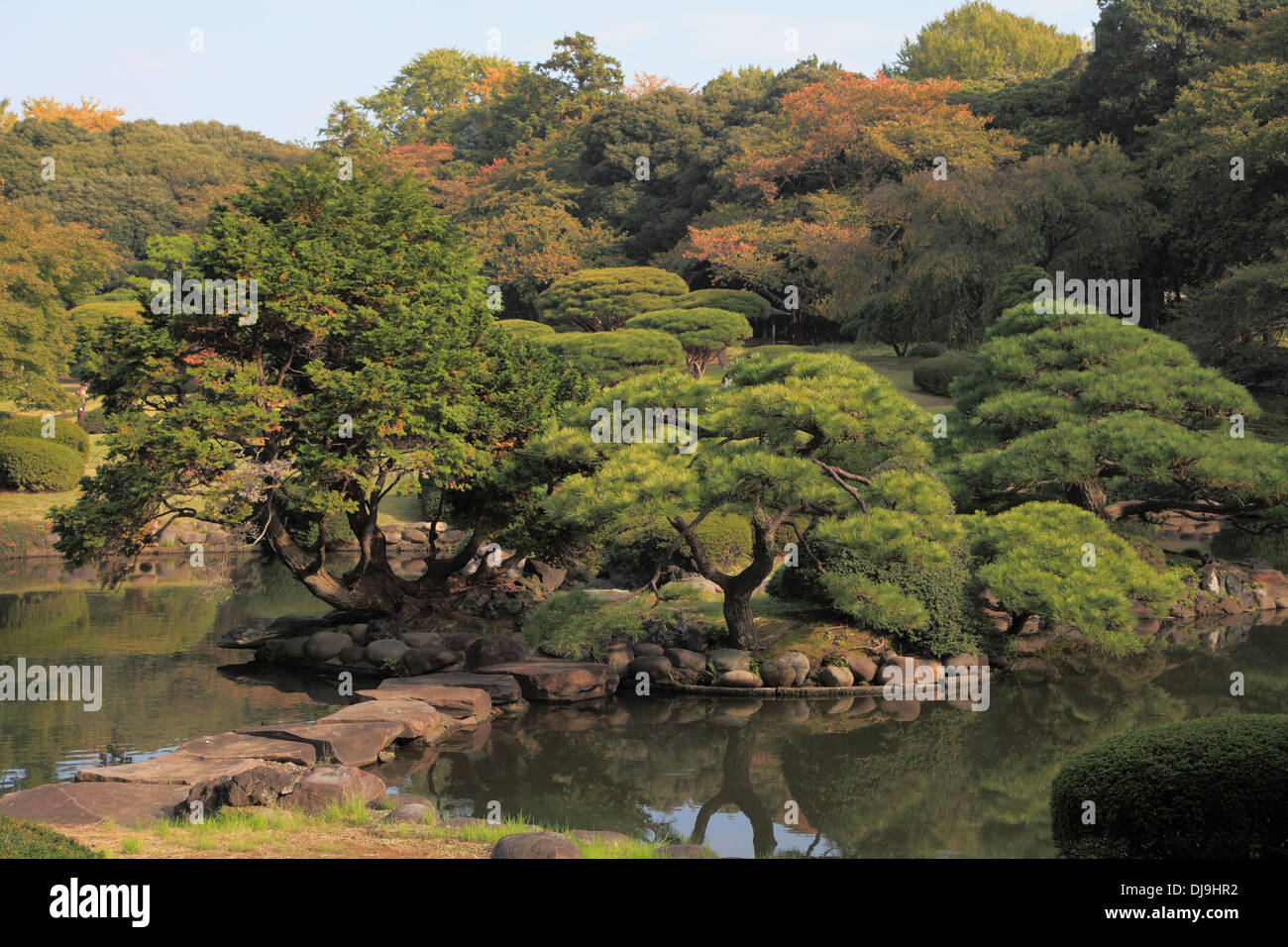 Japan, Tokyo, Shinjuku Gyoen National Garden Stock Photo - Alamy