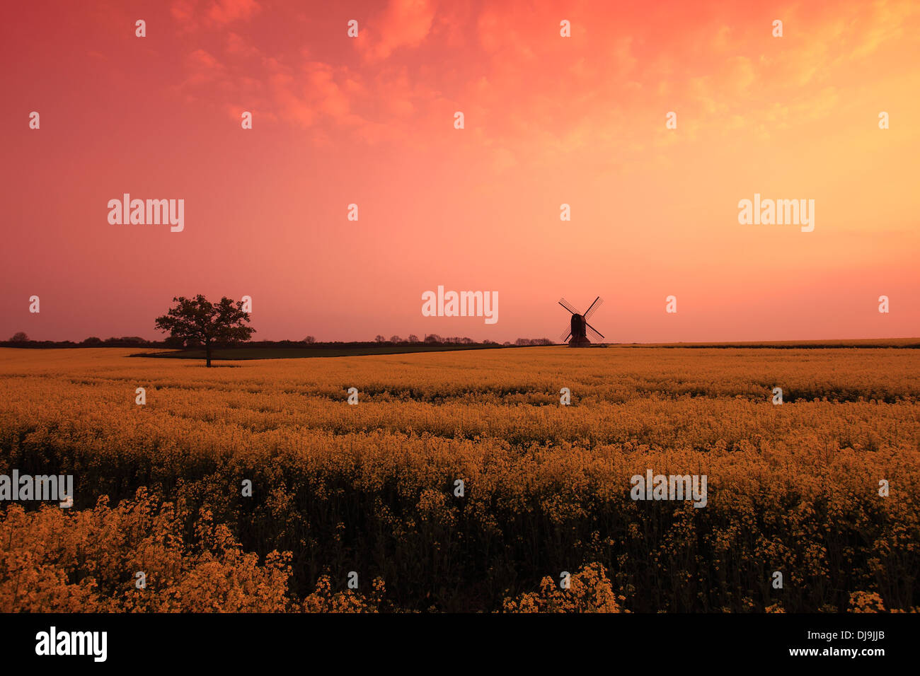 Sunset view of Stevington Windmill; Stevington village; Bedfordshire ...