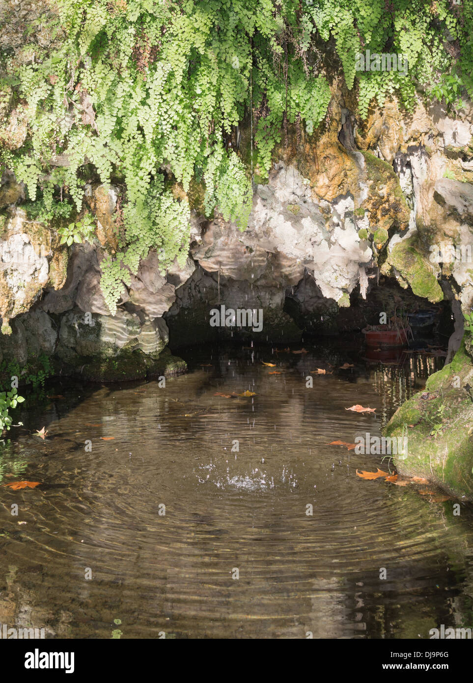 Thin stream of water falling into a pond with maidenhair fern growing ...