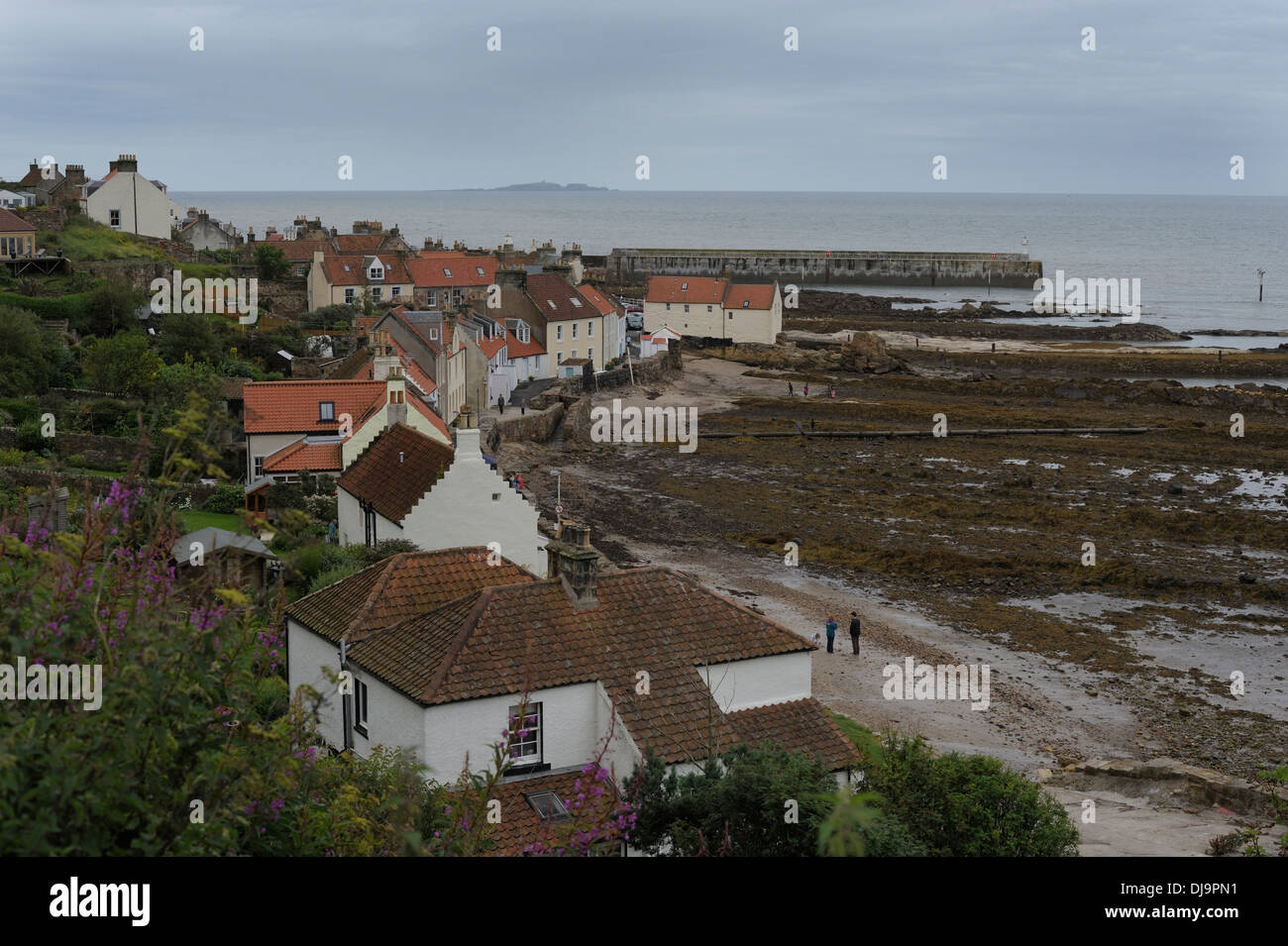 Pittenweem arts festival hi-res stock photography and images - Alamy
