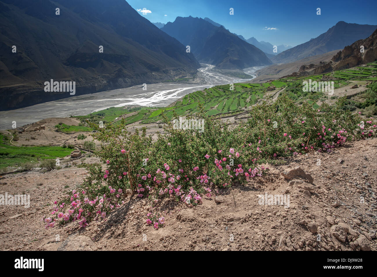 Himalayas river hi-res stock photography and images - Alamy