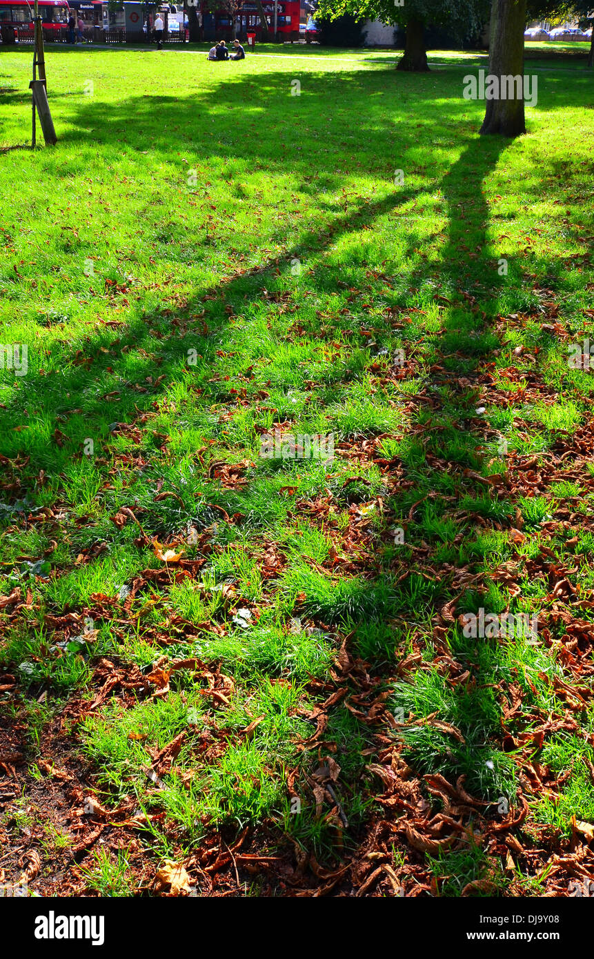 Shadow cast by trees hi-res stock photography and images - Alamy