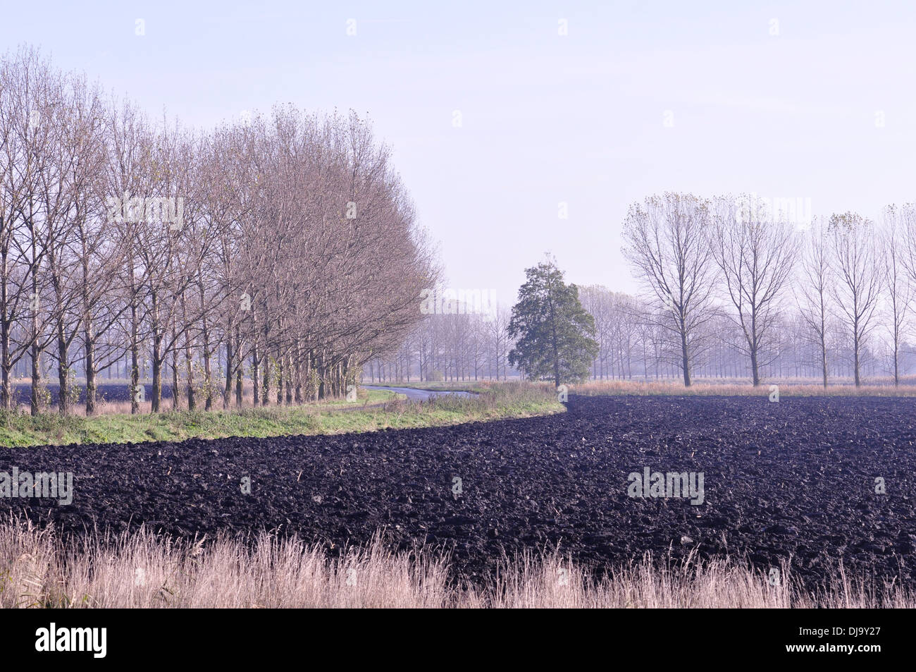 Fenland landscape near Prickwillow, Cambridgeshire, UK Stock Photo - Alamy