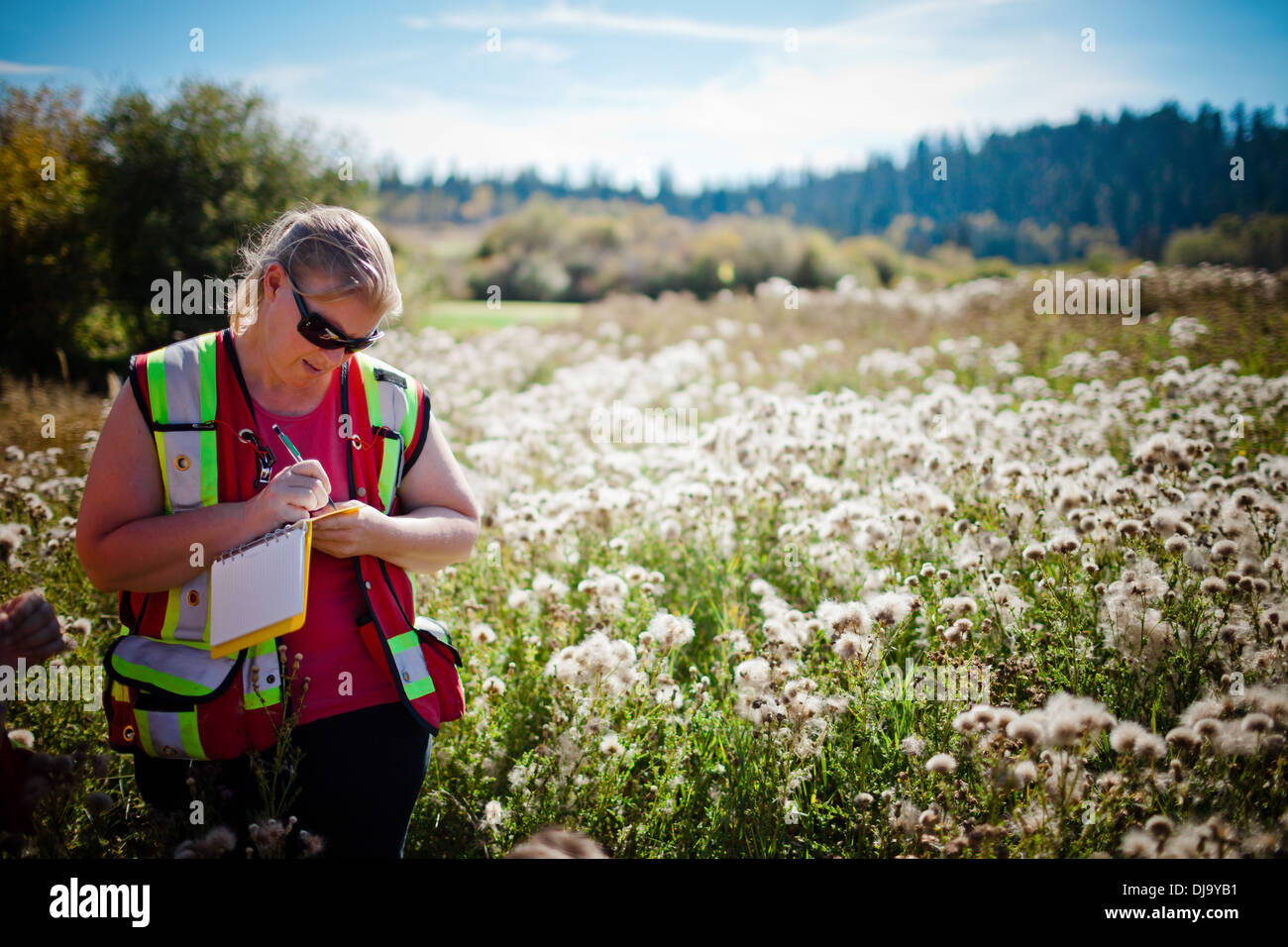 Reflective practice hi-res stock photography and images - Alamy