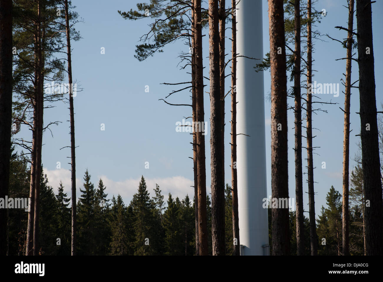 Windmill forest hi-res stock photography and images - Alamy