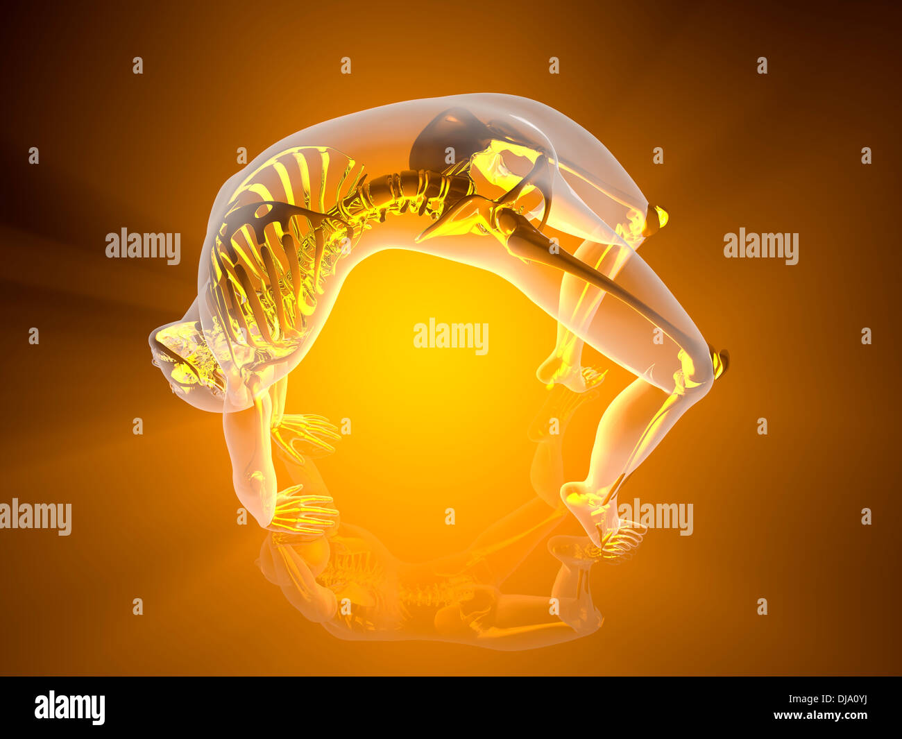 The Yoga inverted bow pose (Urdhva Dhanurasana). 3D Illustration Stock ...