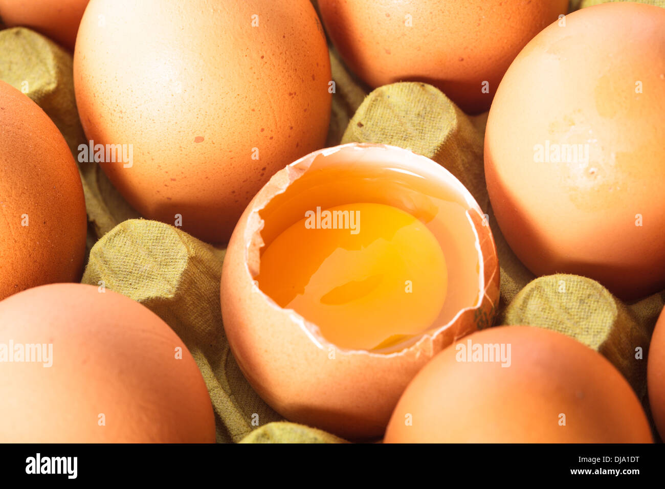 A raw egg in the shell in the cardboard shelf Stock Photo - Alamy