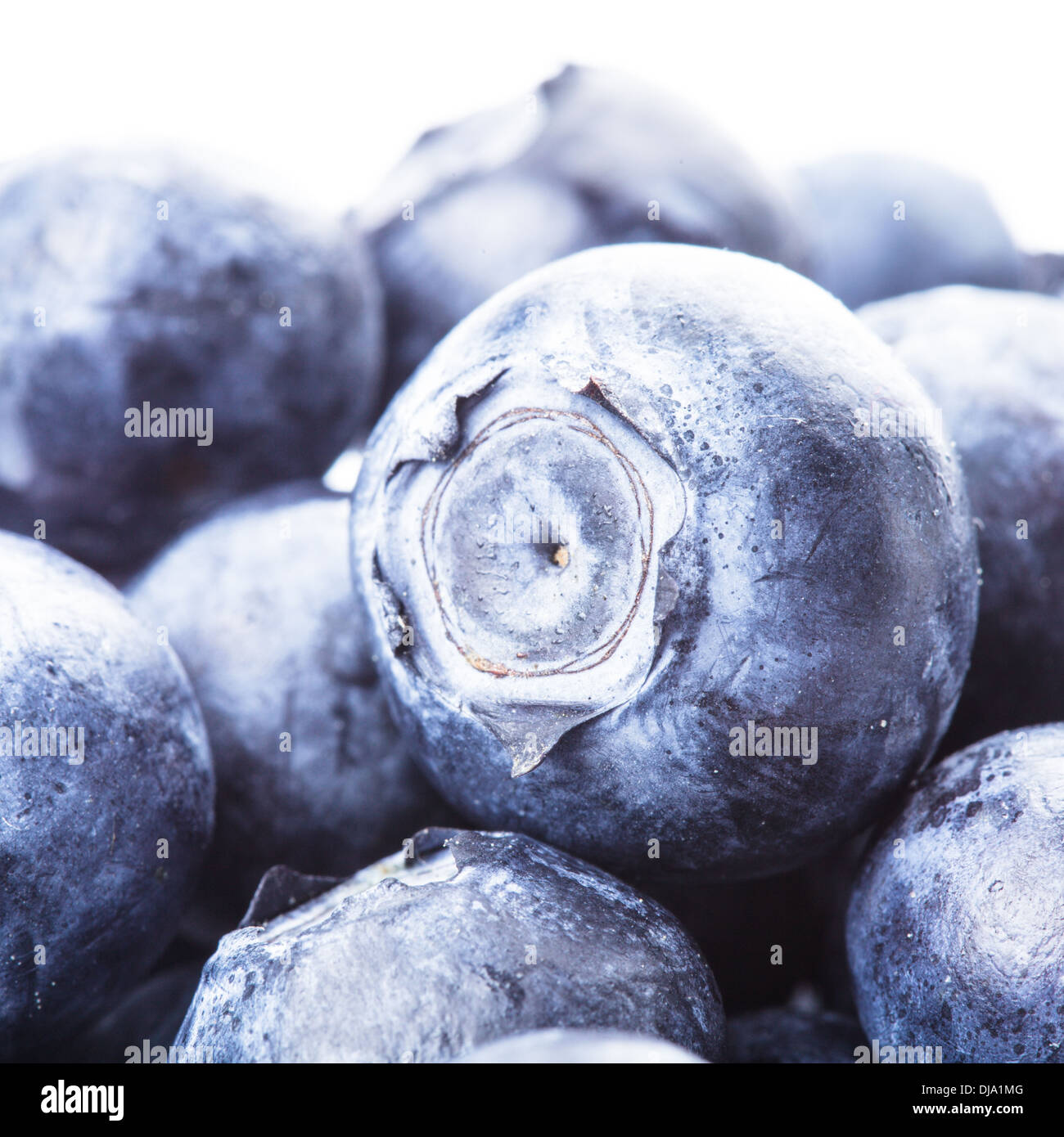Blueberry berries close up as a background Stock Photo - Alamy