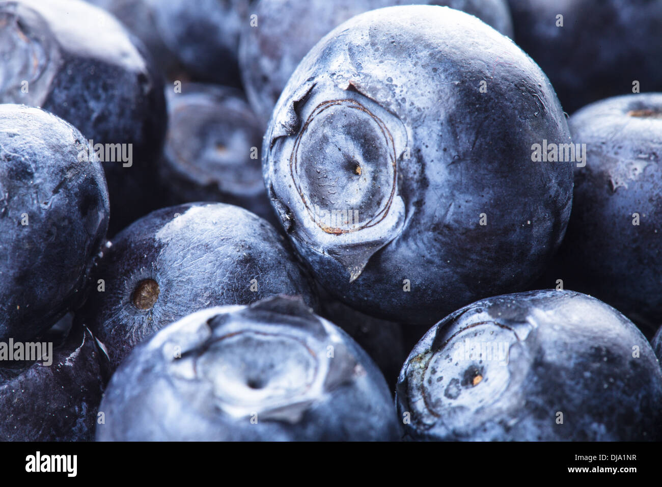 Blueberry berries close up as a background Stock Photo - Alamy