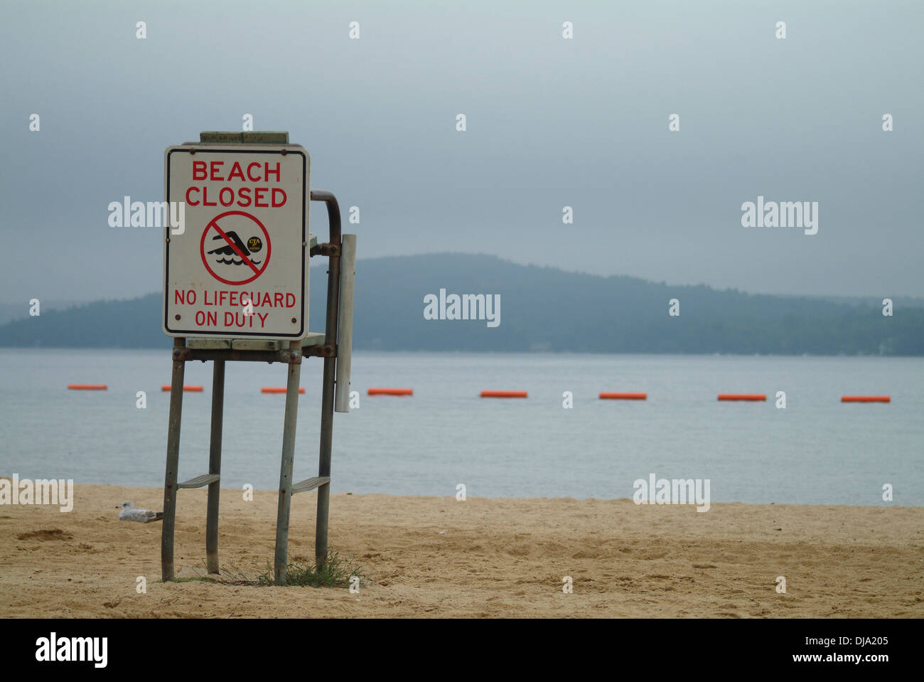 A "Beach Closed" sign hangs on a lifeguard stand on a lake shore on an ...