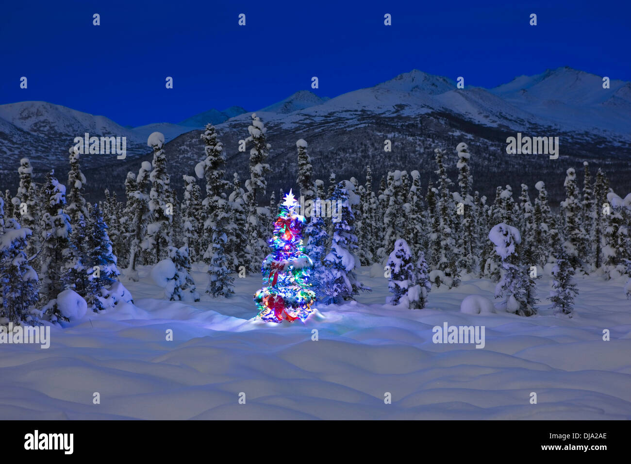 Christmas Tree With Multicolored Lights Standing On Snow Covered Tundra ...