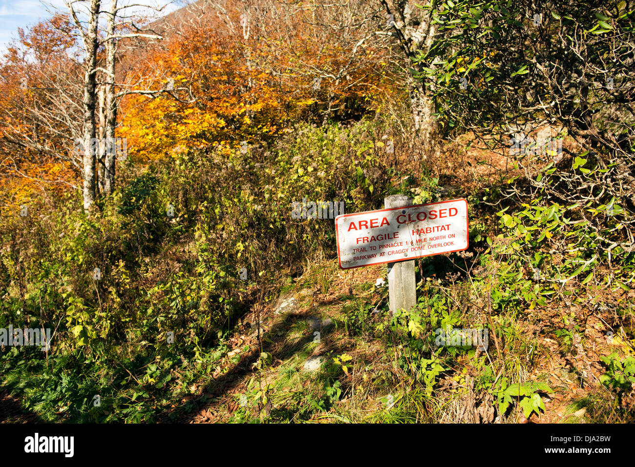 Habitat fragile hi-res stock photography and images - Alamy