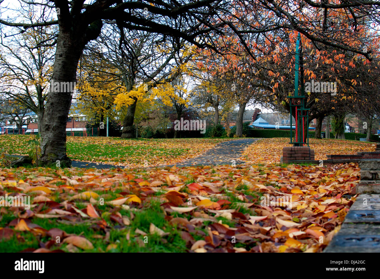 Sparkhill park, birmingham hi-res stock photography and images - Alamy