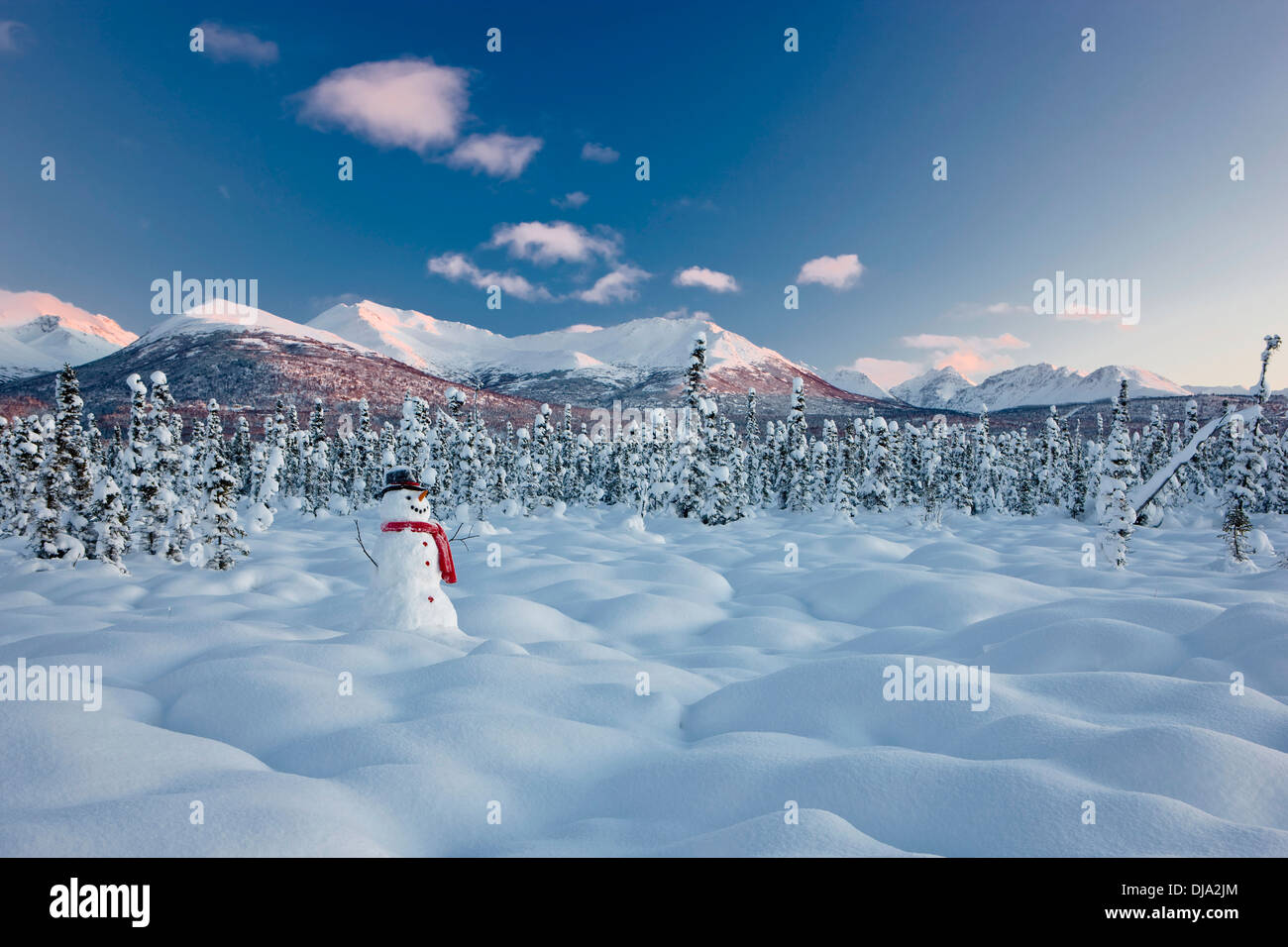 Winter ice cold snowman hi-res stock photography and images - Alamy