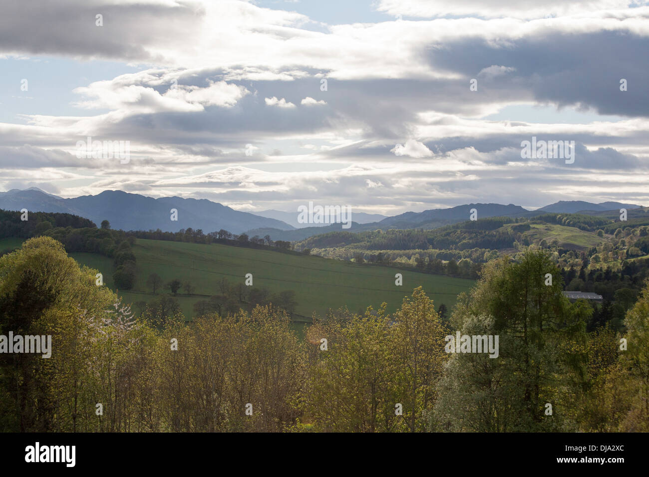 Late spring evening view of The Glenartney Forest with Ben Vorlich and ...