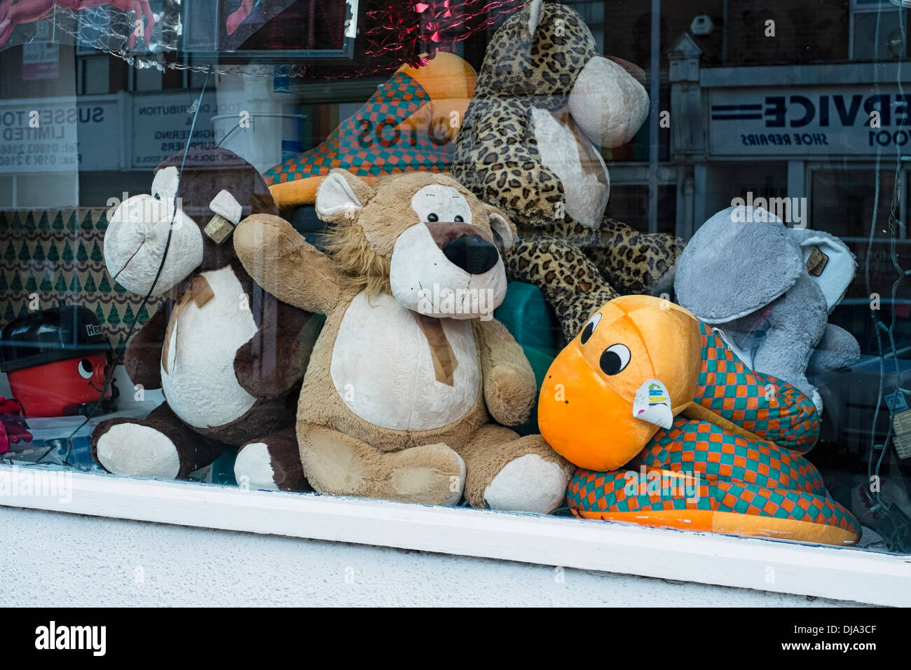 Used soft toys in a shop window Stock Photo - Alamy