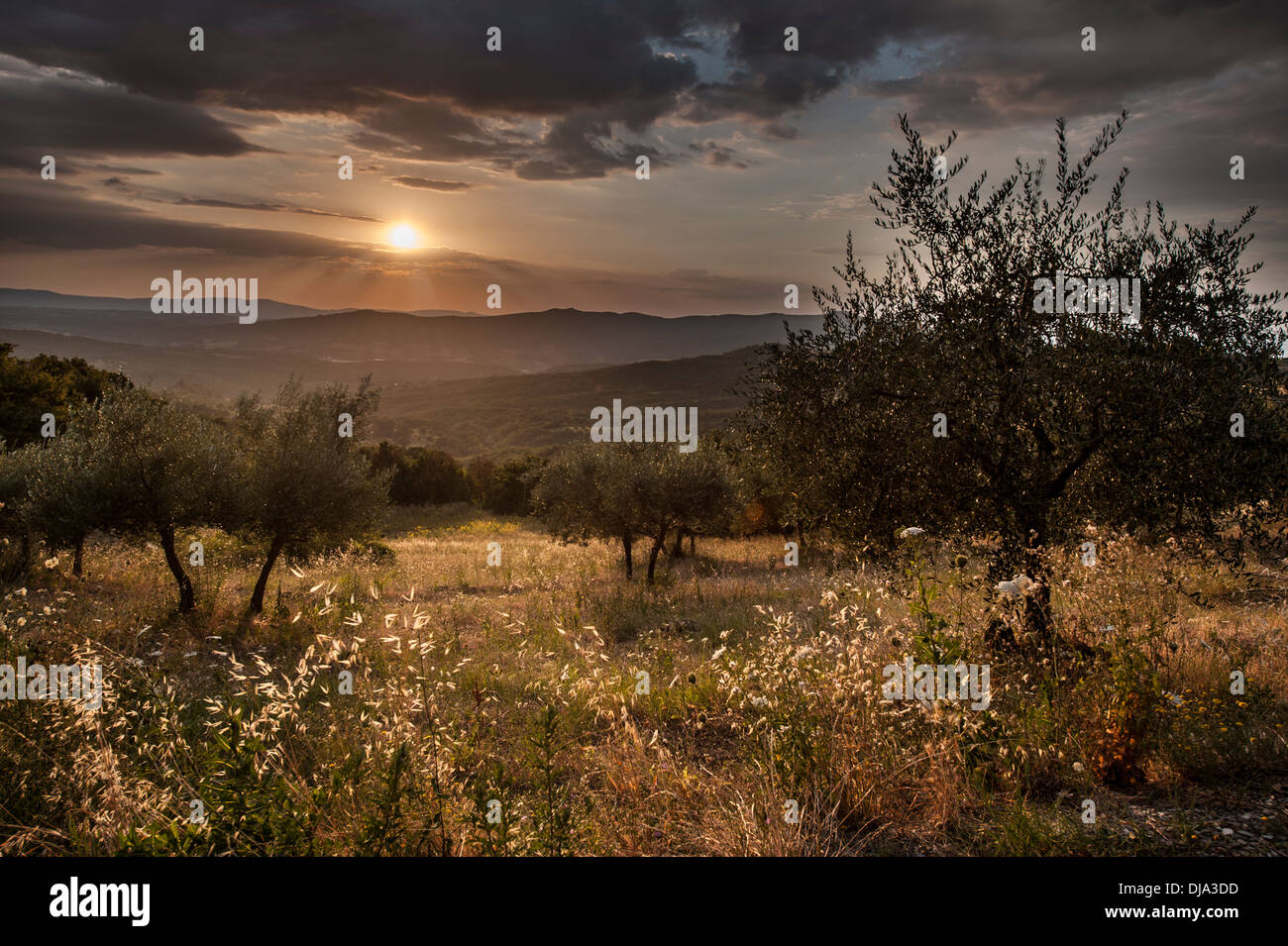 Dramatic tuscan sky hi-res stock photography and images - Alamy