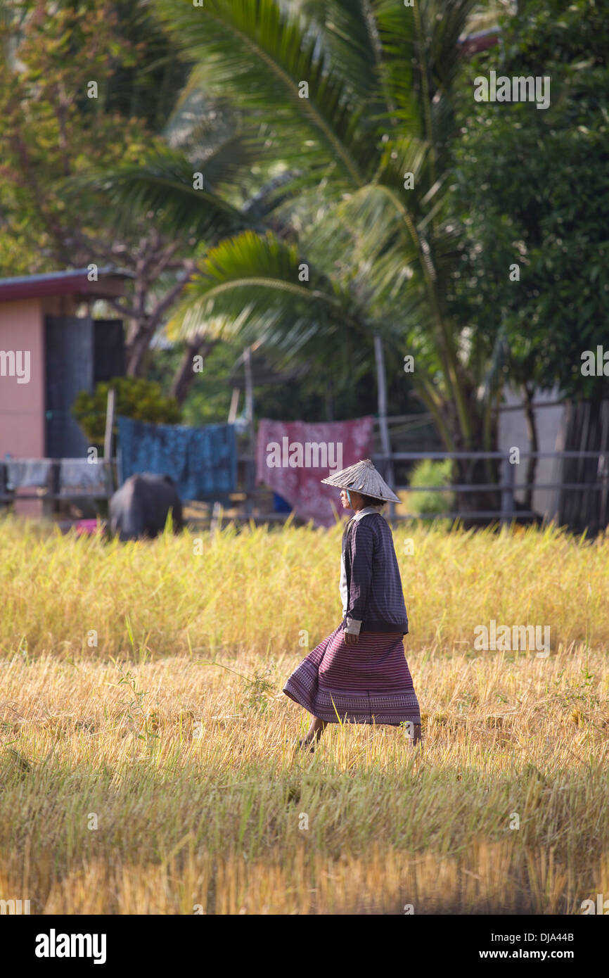 Don Det an island in the Mekong River, 4000 Islands in Southern Laos ...