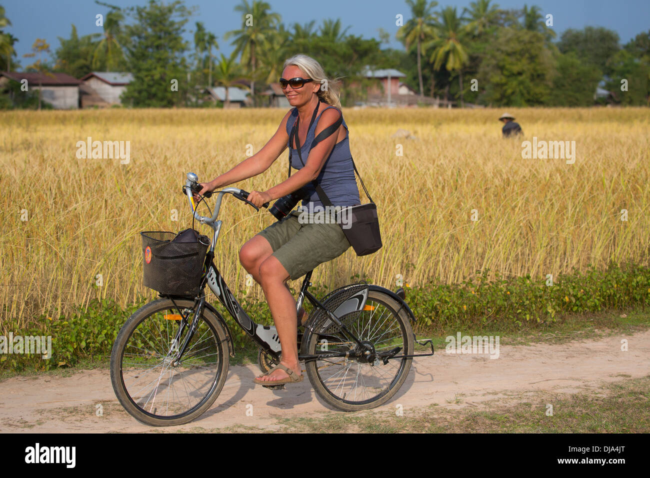 Don Det an island in the Mekong River, 4000 Islands in Southern Laos ...