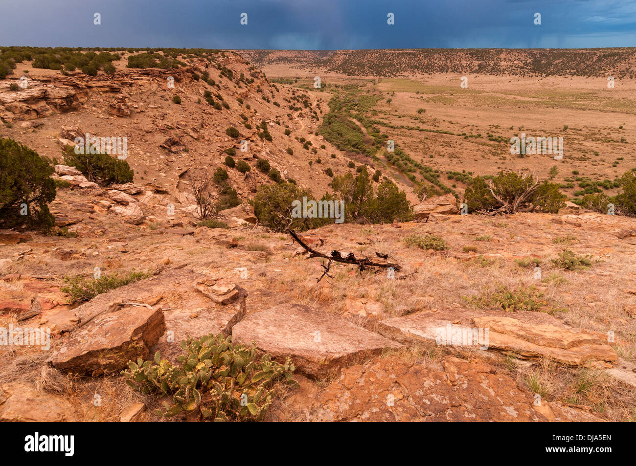 Comanche national grasslands hi-res stock photography and images - Alamy
