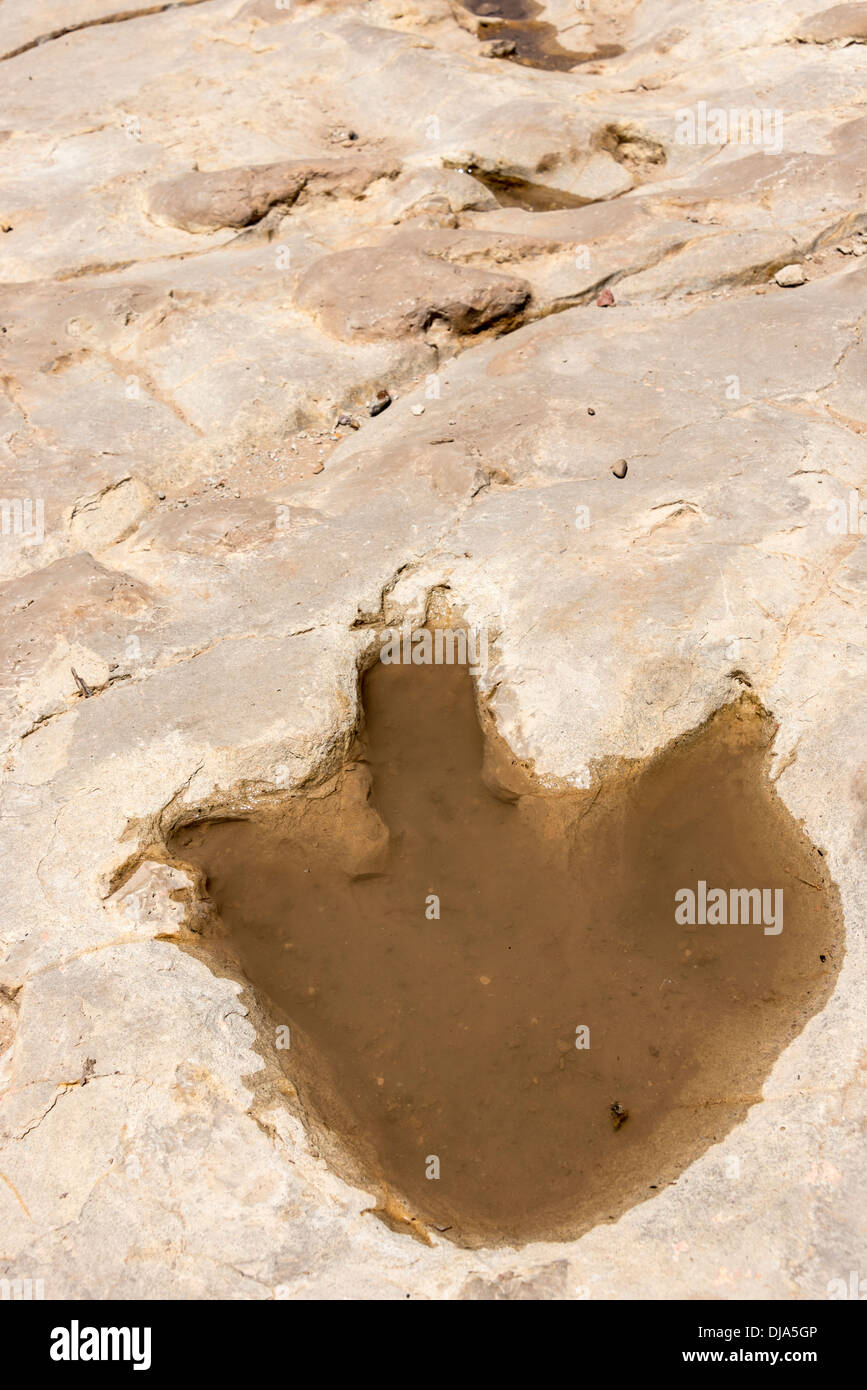 Dinosaur track beside the Purgatoire River, Picketwire Canyonlands ...