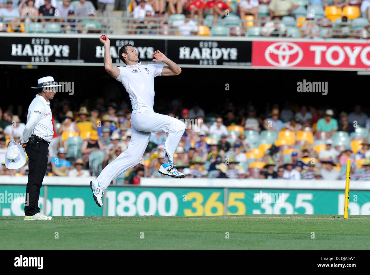 Gabba Ground, Brisbane, Australia. 23rd Nov, 2013. CHRIS TREMLETT . Day ...