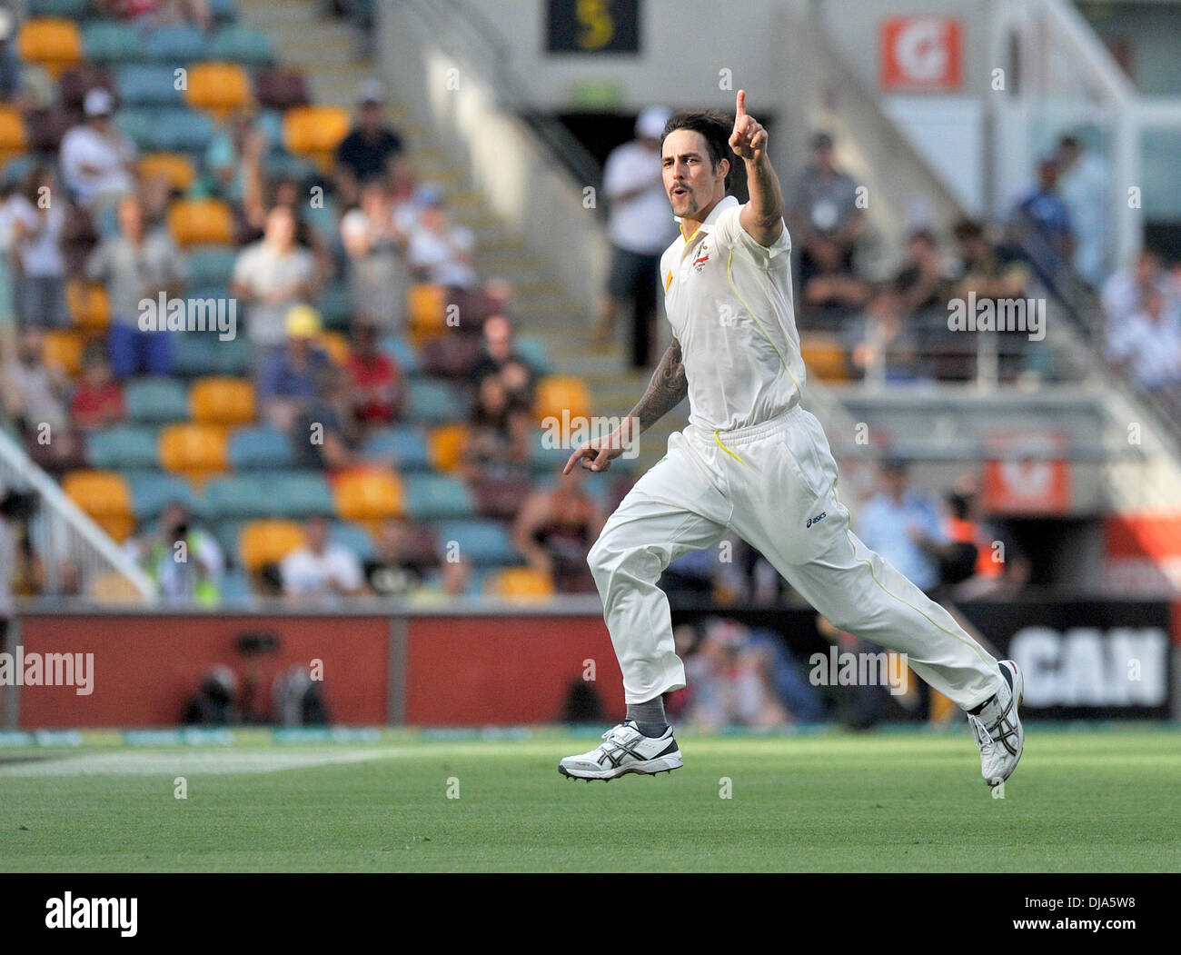Gabba Ground, Brisbane, Australia. 23rd Nov, 2013. MITCHELL JOHNSON ...