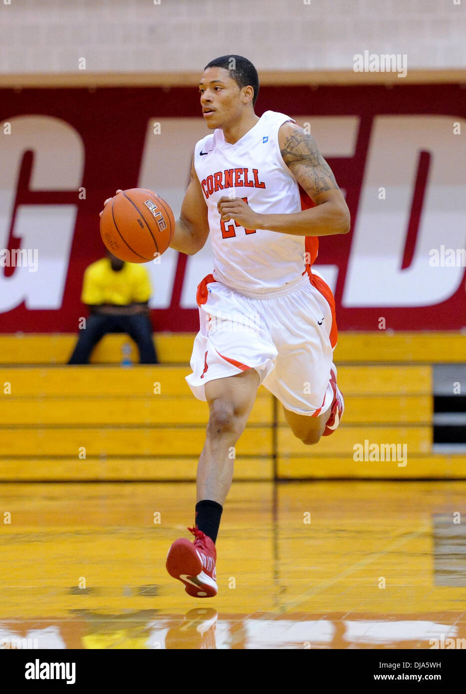 Ithaca, New York, USA. 25th Nov, 2013. November, 25 2013: Cornell Big ...