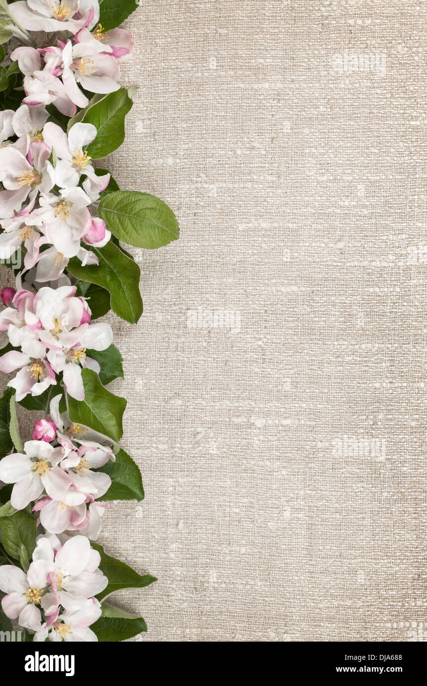 Apple borders hi-res stock photography and images - Alamy