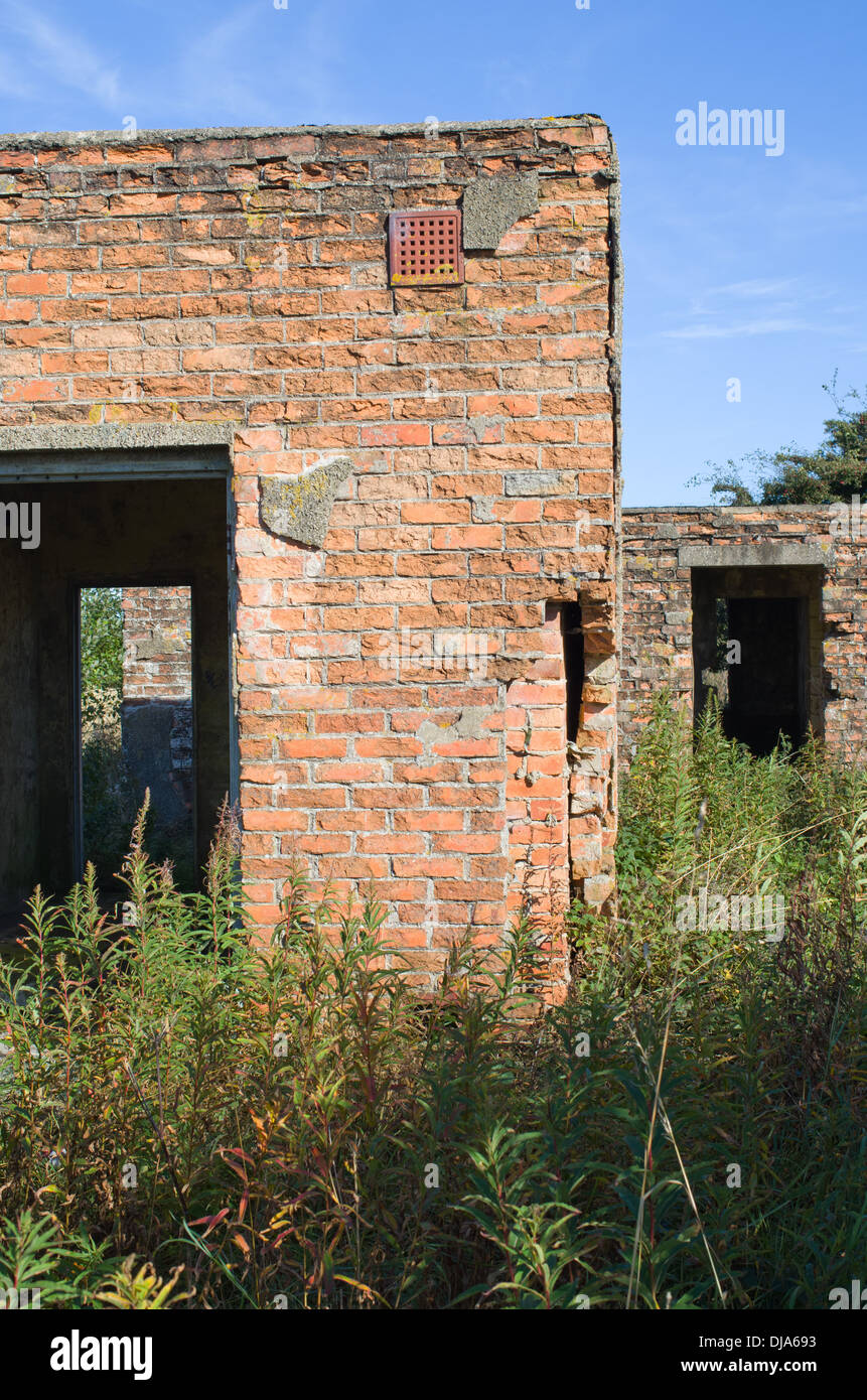 Overgrown abandoned buildings hi-res stock photography and images - Alamy