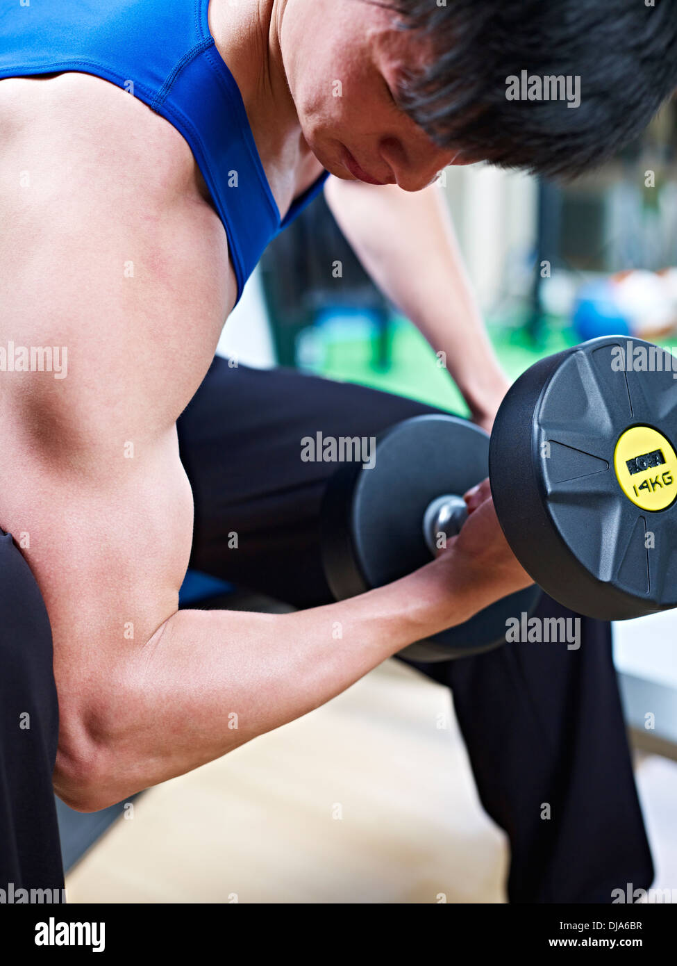 Biceps dumbbell exercise hi-res stock photography and images - Alamy