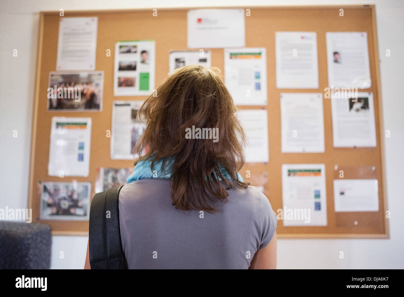 Student studying notice board Stock Photo - Alamy