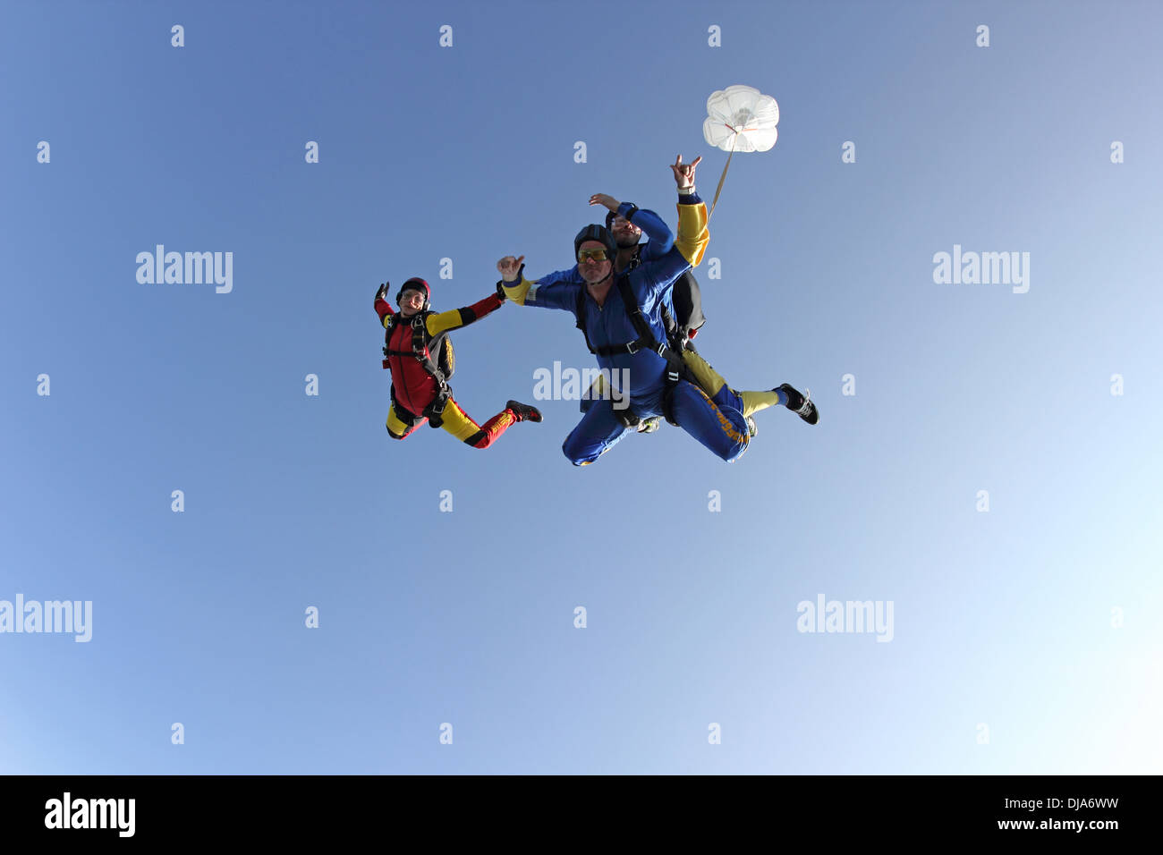 Tandem skydivers are having fun together in the sky. While the ...